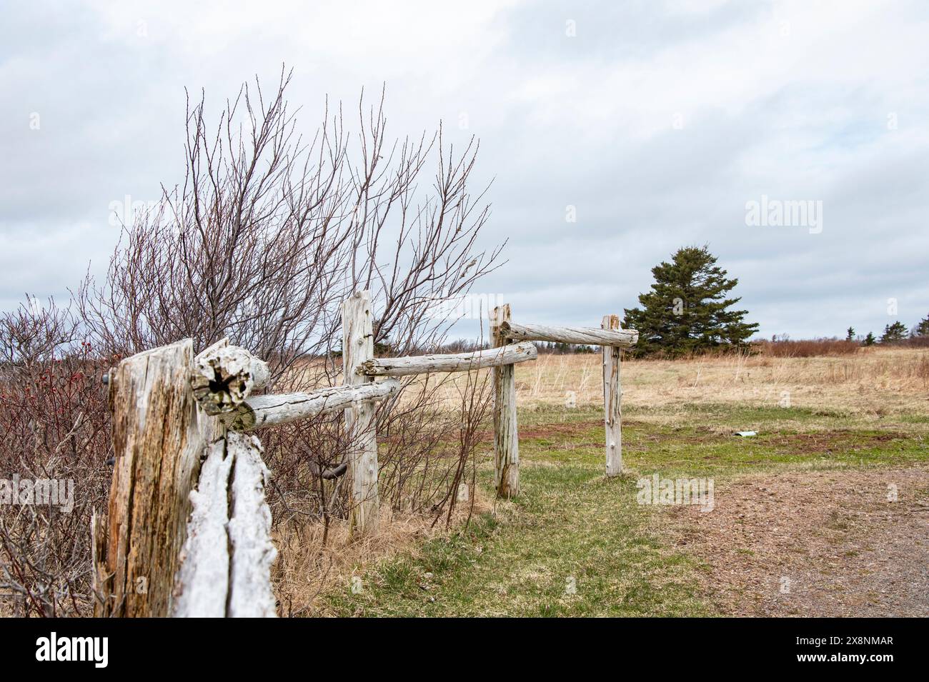 Trails at Greenwich National Park in St. Peters Bay, Prince Edward Island, Canada Stock Photo ...