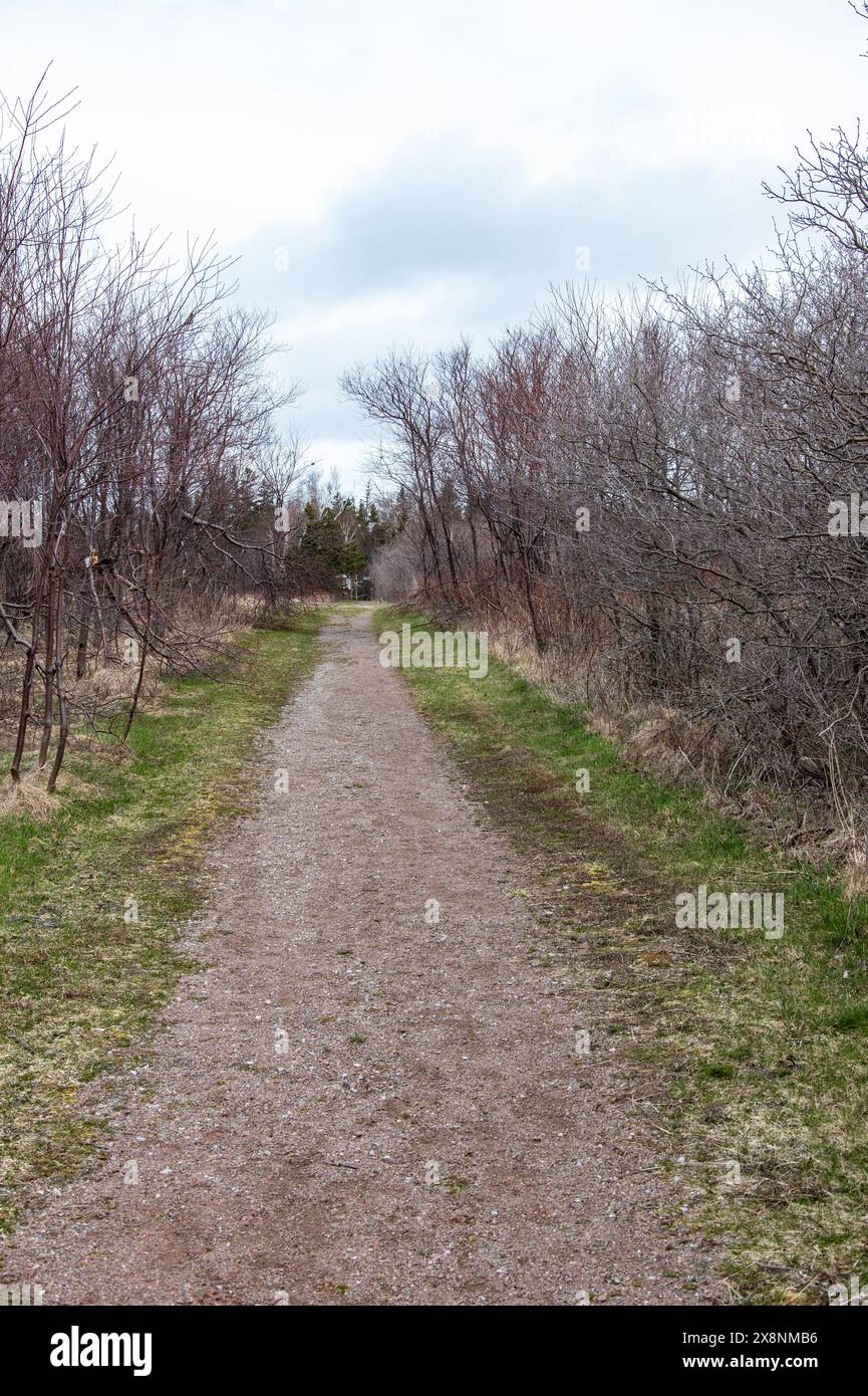 Trails at Greenwich National Park in St. Peters Bay, Prince Edward Island, Canada Stock Photo ...