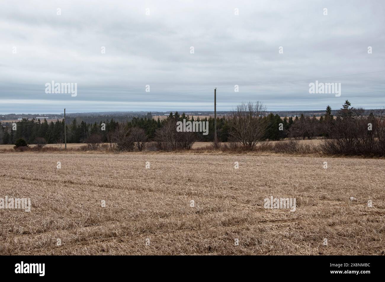 Farms in St. Peters Bay, Prince Edward Island, Canada Stock Photo - Alamy
