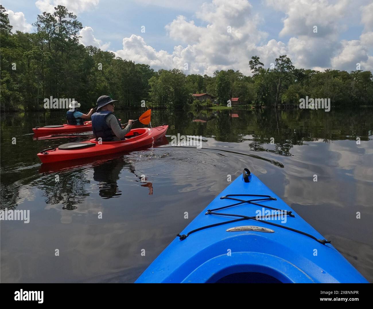 Kayakers paddle the Waccamaw River at Thorofare Island in Conway, South ...