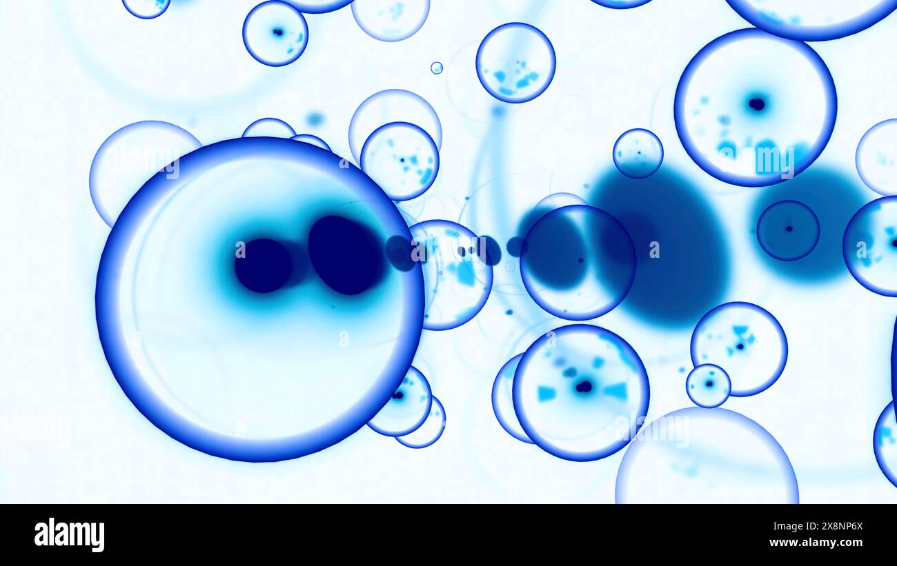 Moving molecular bubbles with embryos. Design. Bubbles with infection ...