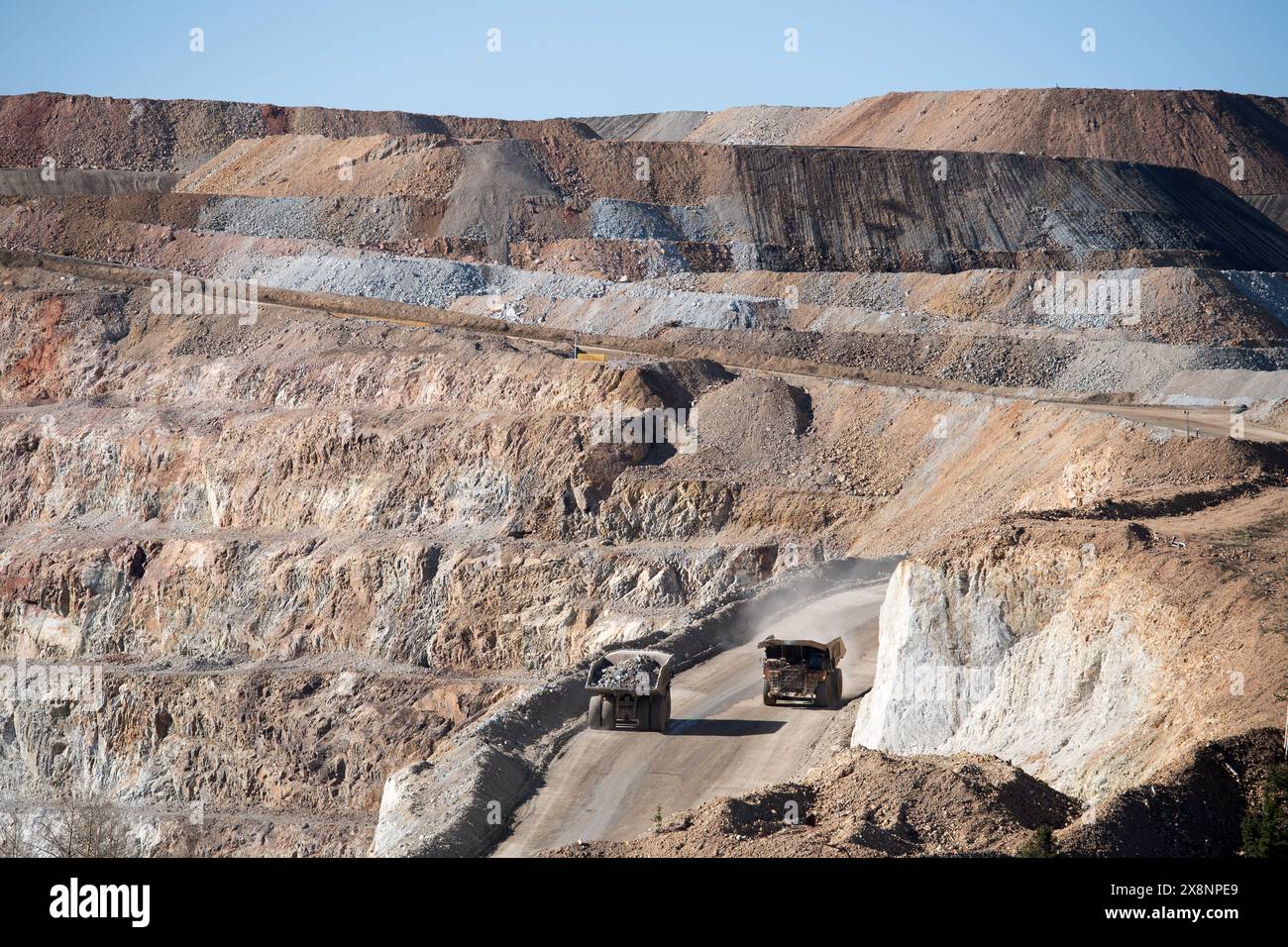 Huge ore trucks haul gold ore from the open pit mine to processing at ...