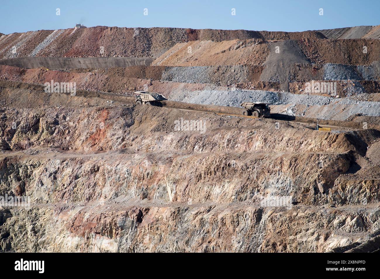Huge ore trucks haul gold ore from the open pit mine to processing at ...