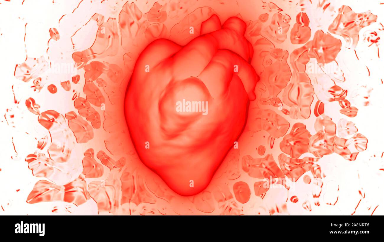 Human heart beat , coronary circulation. Motion. Science and health ...