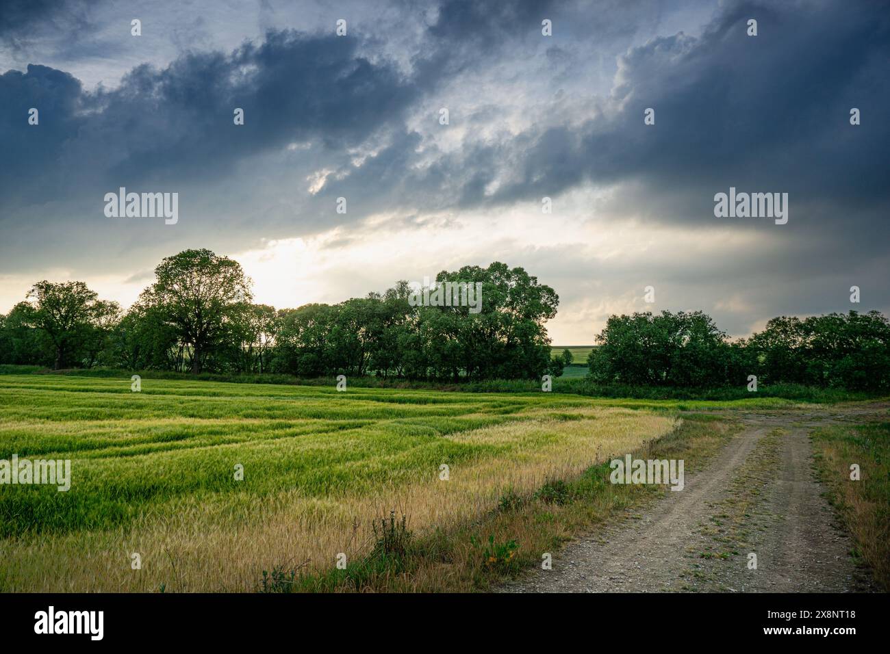 Winding dirt road cutting through hi-res stock photography and images - Alamy