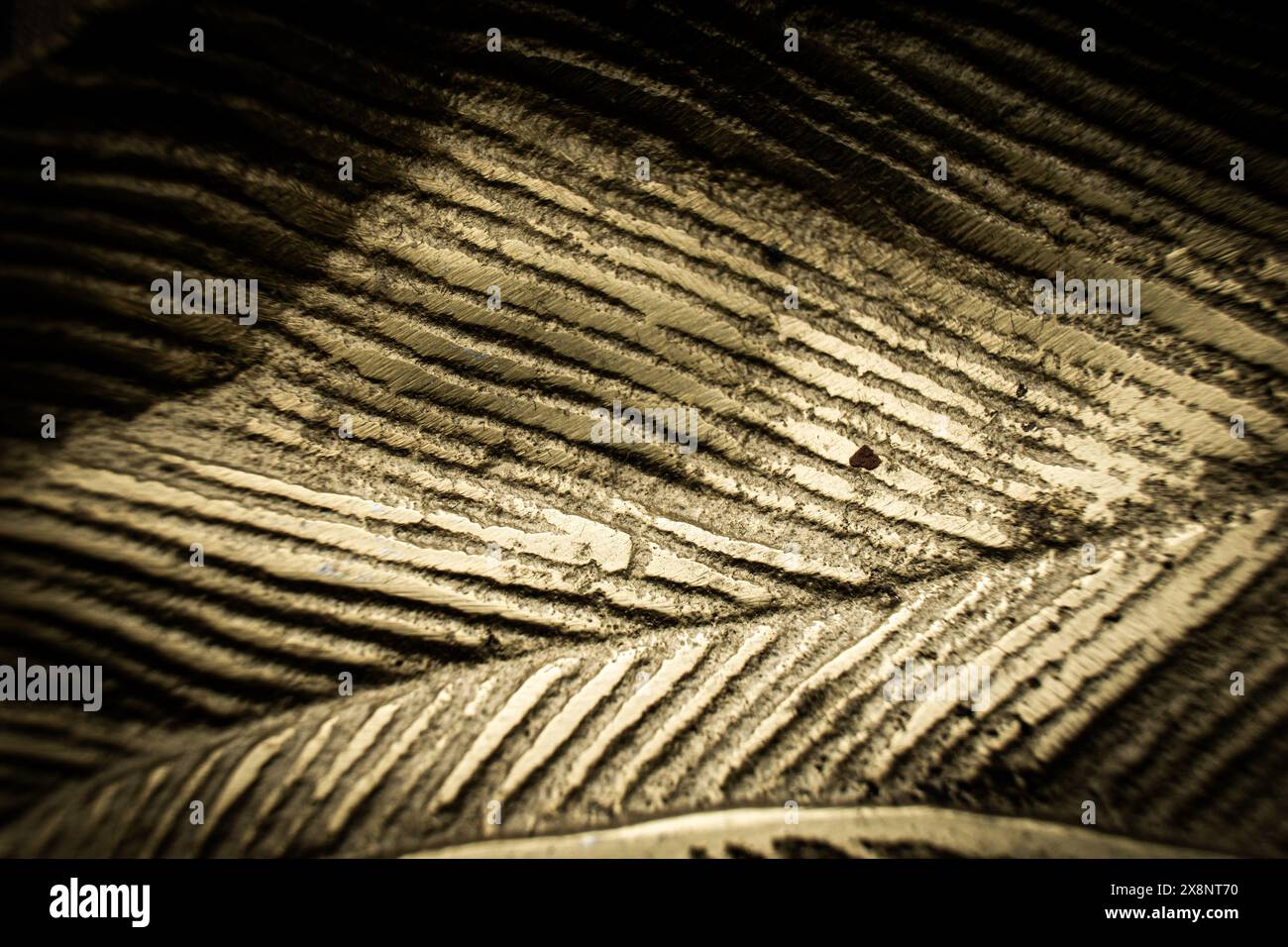 engraved metal plate leaf pattern background abstract Stock Photo - Alamy