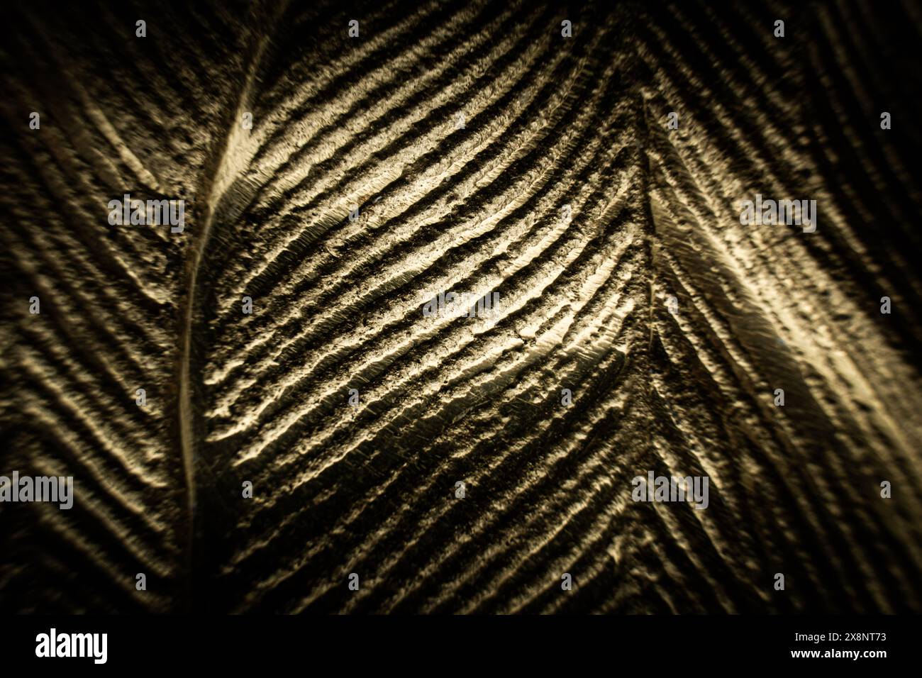 engraved metal plate leaf pattern background abstract Stock Photo - Alamy