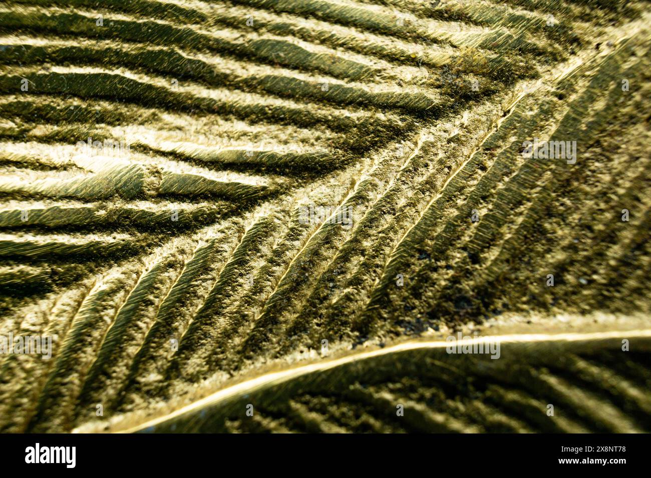 engraved metal plate leaf pattern background abstract Stock Photo - Alamy
