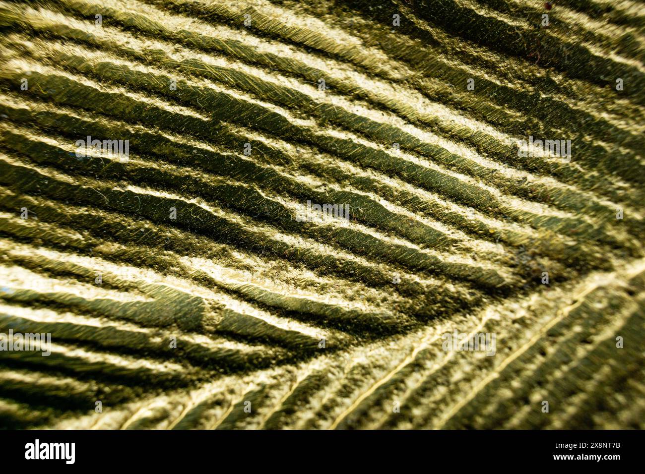 engraved metal plate leaf pattern background abstract Stock Photo - Alamy
