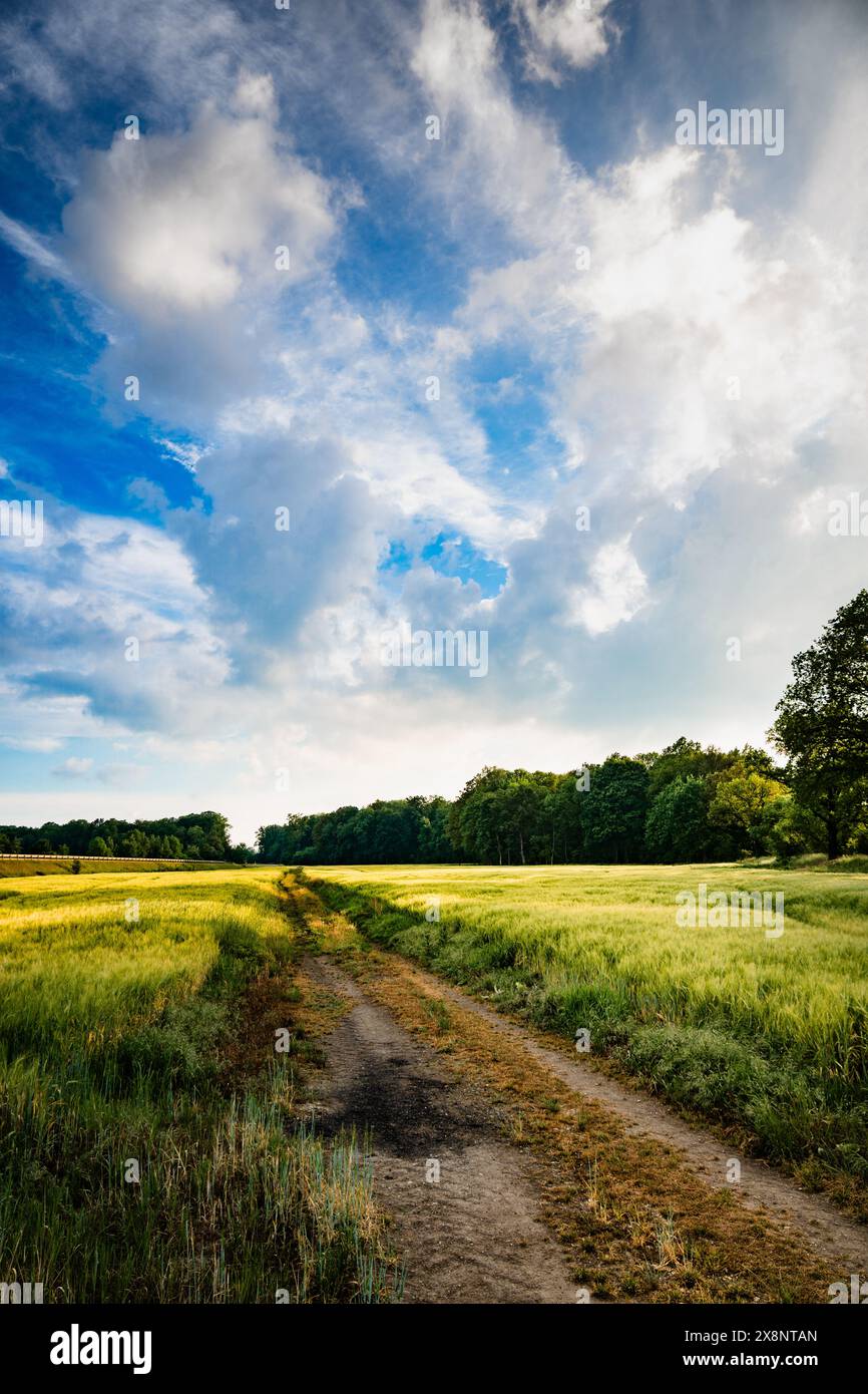 Isolated dirt road through hi-res stock photography and images - Alamy