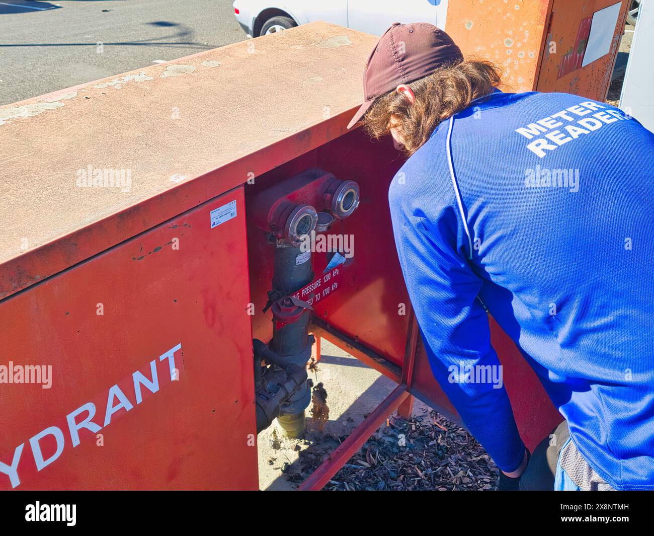 Water meter reader reading a water meter at a fire hydrant access point ...