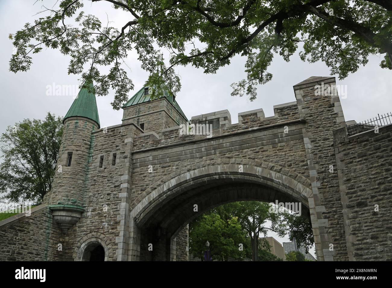 The tree and St Louis Gate - Quebec City, Canada Stock Photo - Alamy