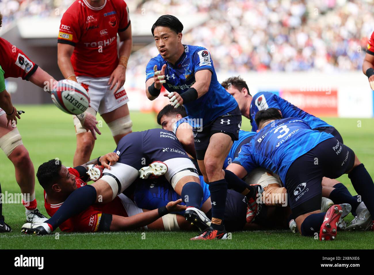 Tokyo, Japan. 26th May, 2024. Taiki Koyama (Wild Knights) Rugby : 2023 ...