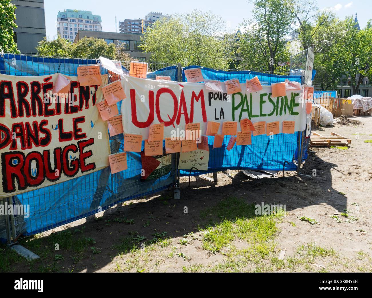 Pro palestinian demonstration canada hi-res stock photography and ...
