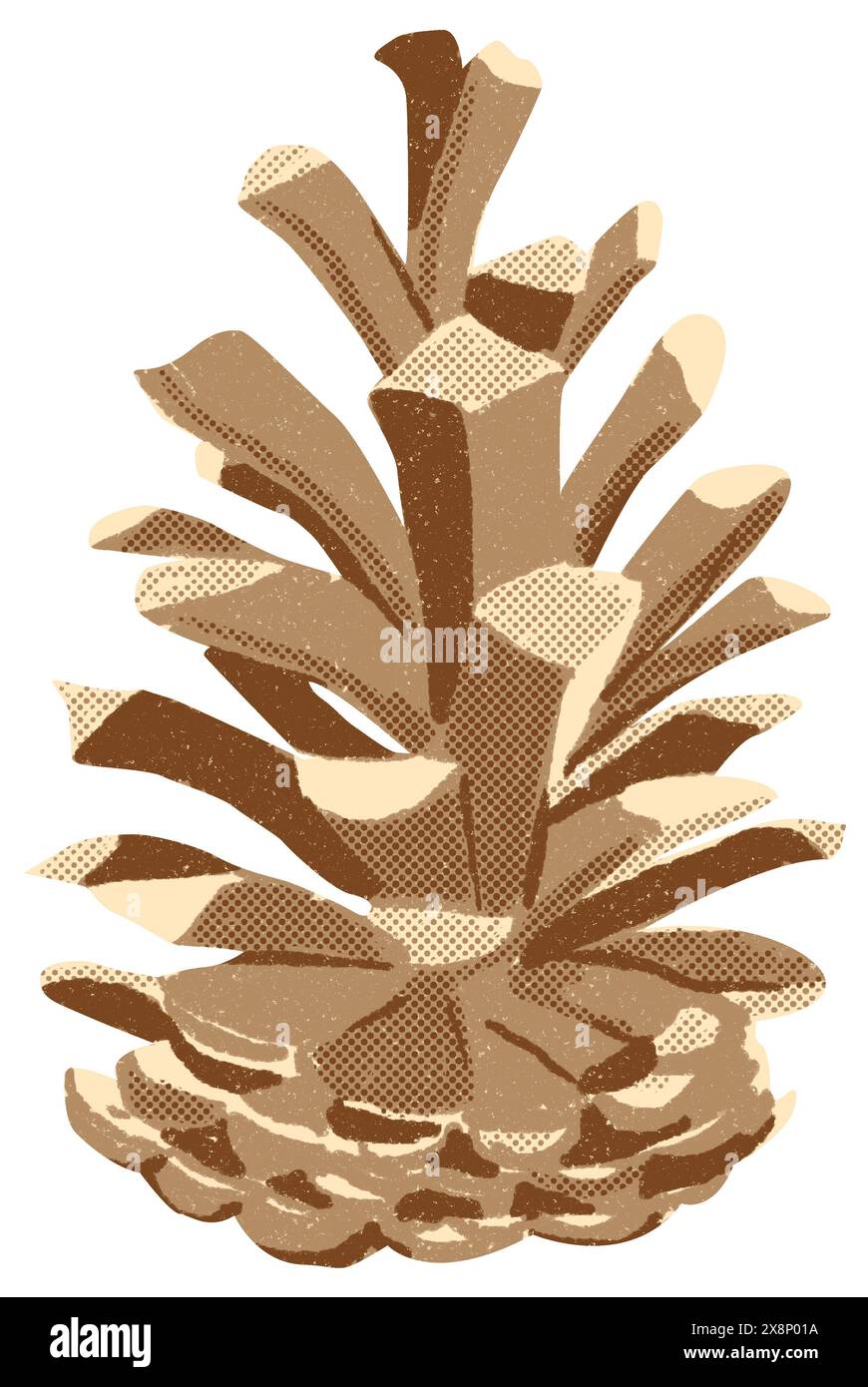 Pine tree cone realistic Cut Out Stock Images & Pictures - Alamy