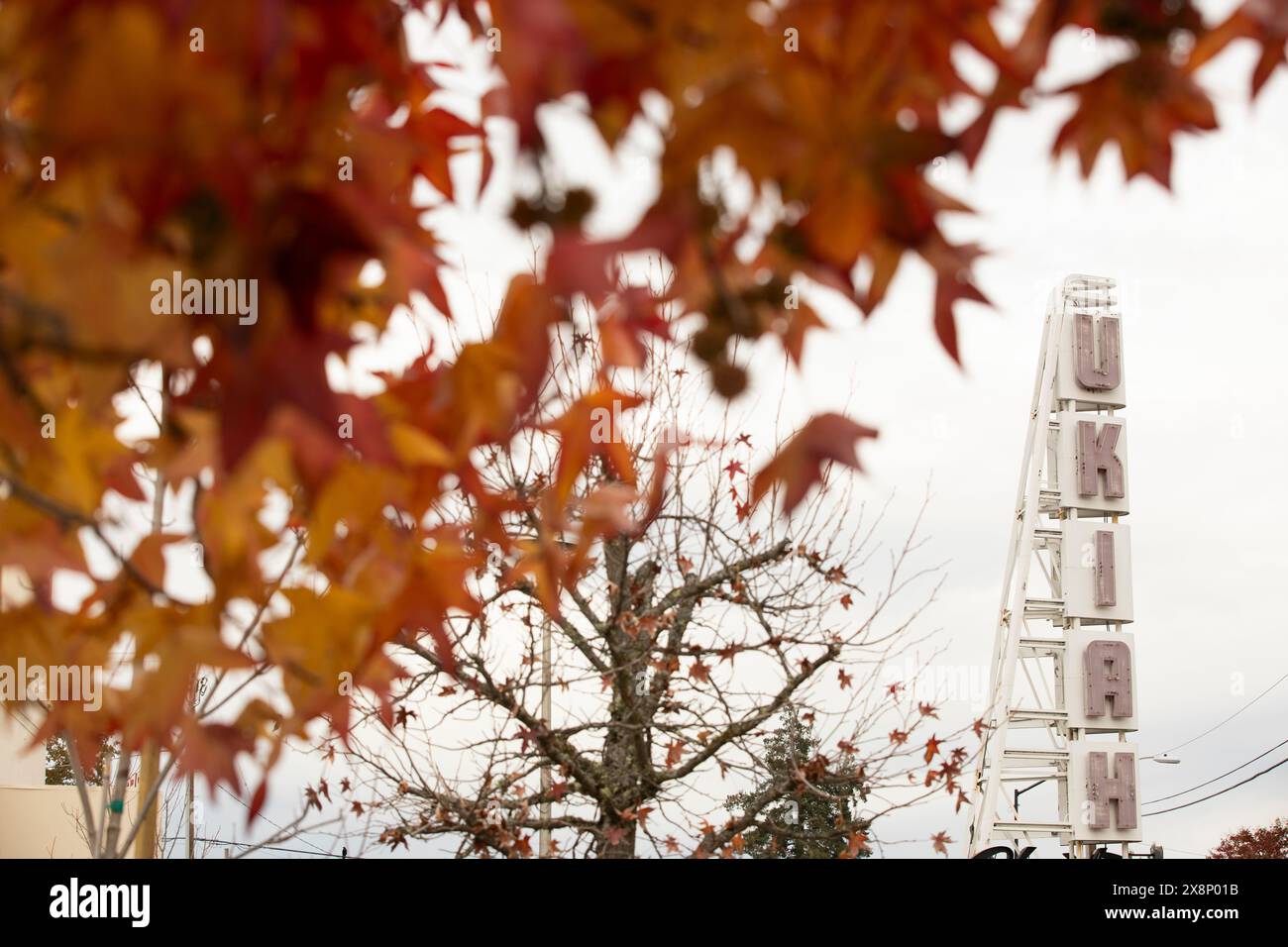 Ukiah, California, USA - November 18, 2021: Cloudy autumn light shines ...