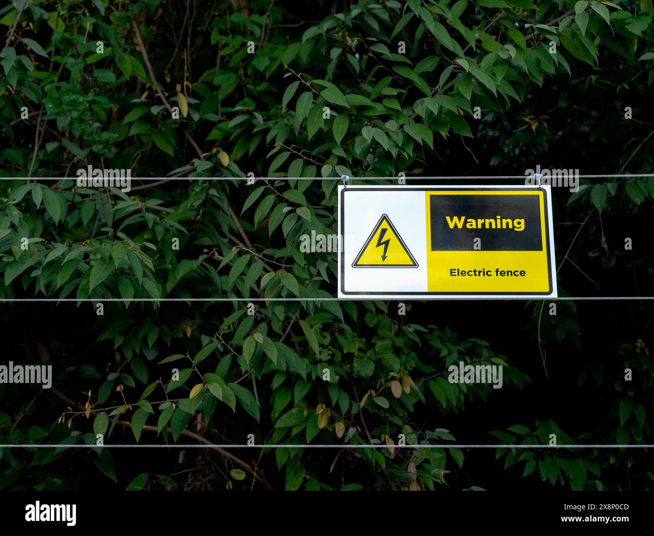 Electric shock icon hi-res stock photography and images - Alamy