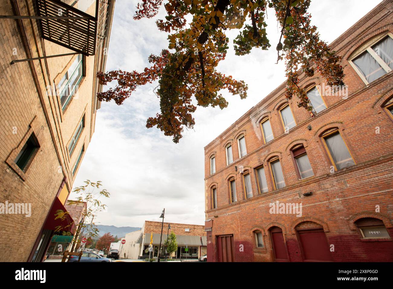Ukiah, California, USA - November 18, 2021: Cloudy autumn light shines ...
