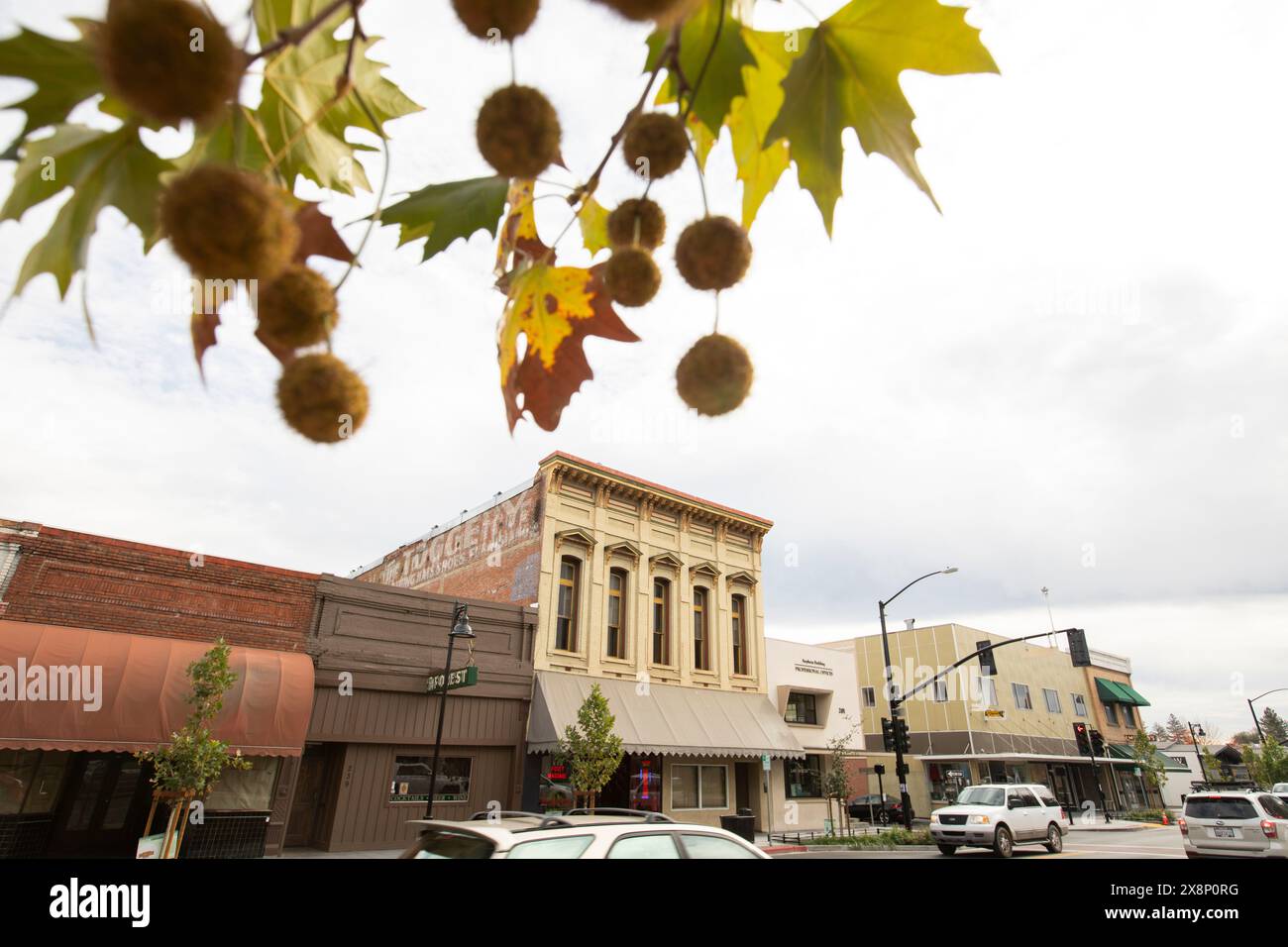 Ukiah, California, USA - November 18, 2021: Cloudy autumn light shines ...