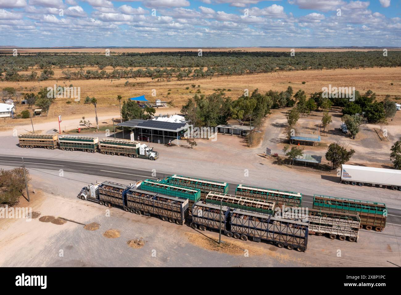 Road trains loaded with beef cattle passing through the tiny Queensland ...