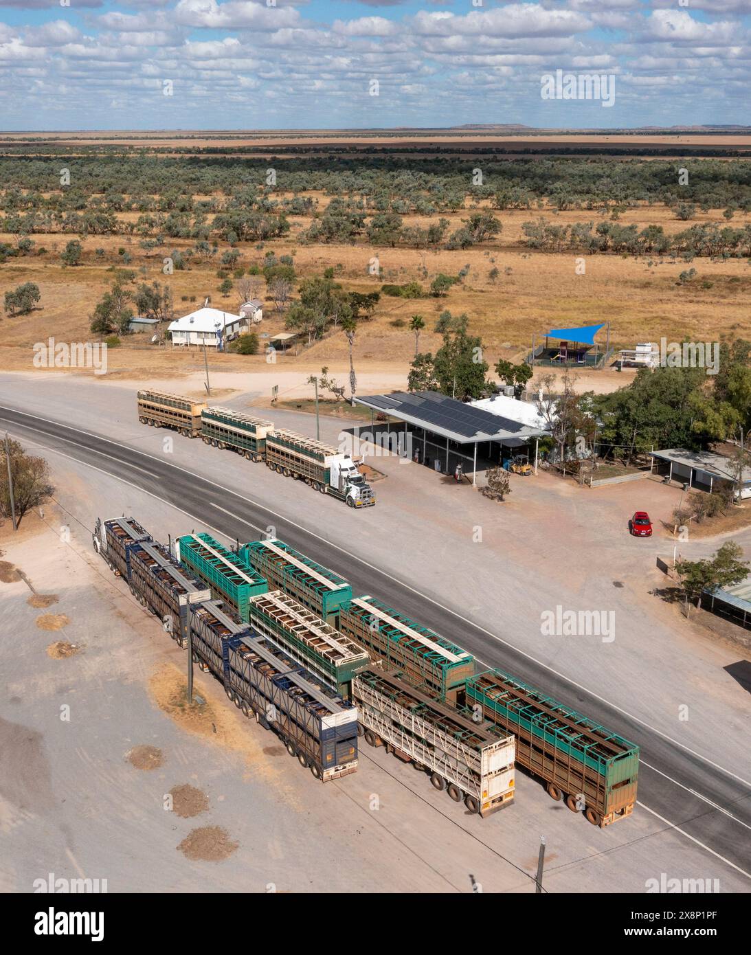 Road trains loaded with beef cattle passing through the tiny Queensland ...