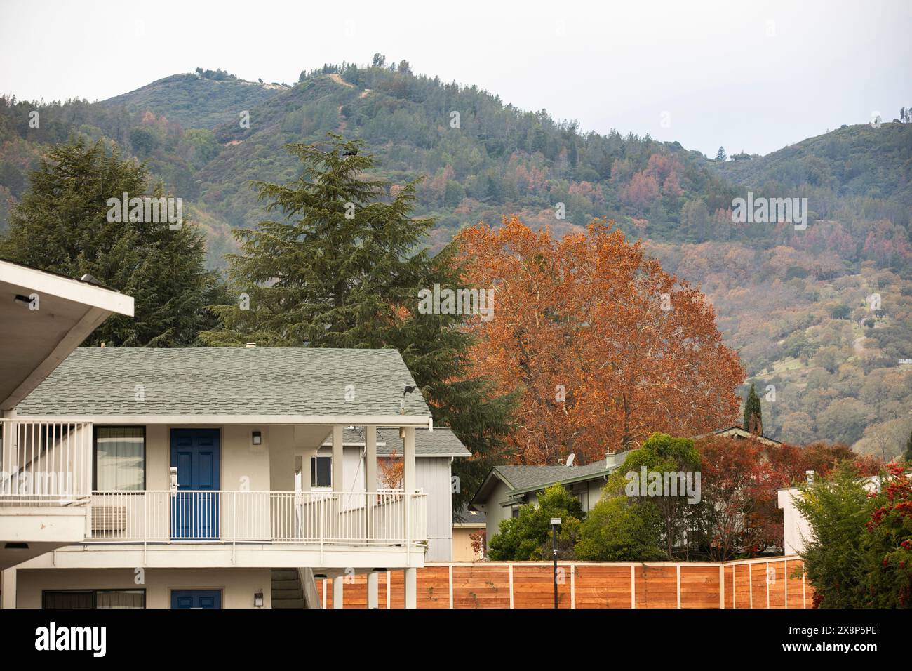 Aumtum cloudy light and foliage frame homes and buildings in downtown ...