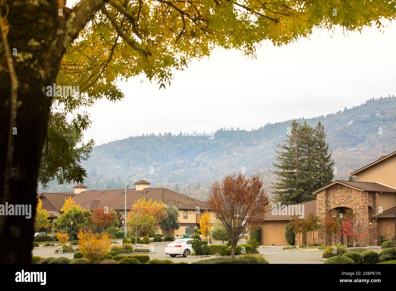 Aumtum cloudy light and foliage frame homes and buildings in downtown ...