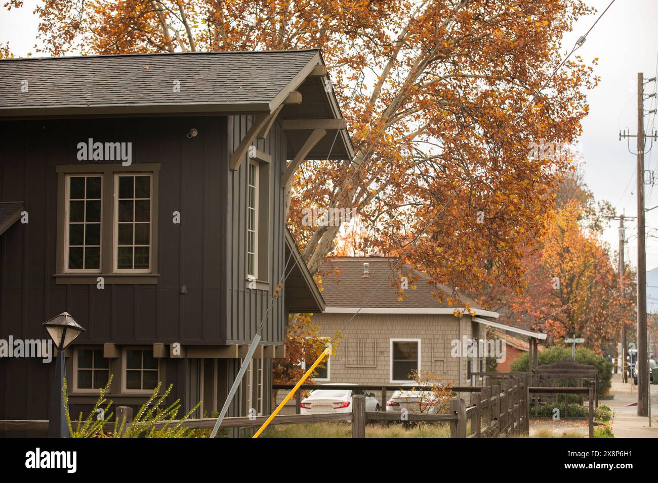 Aumtum cloudy light and foliage frame homes and buildings in downtown ...