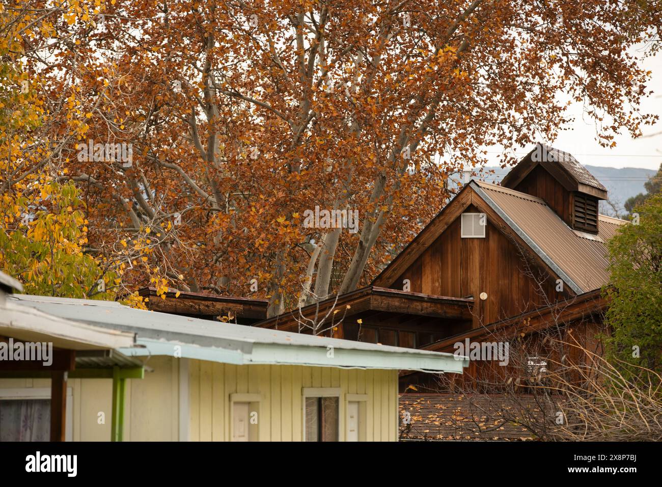 Aumtum cloudy light and foliage frame homes and buildings in downtown ...