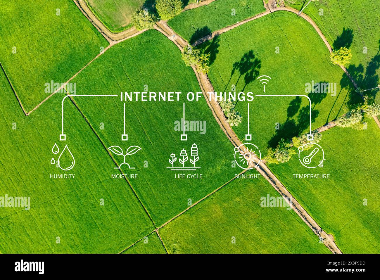 Smart agriculture with modern technology for sustainable practices ... Smart agriculture with modern technology for sustainable practices ...