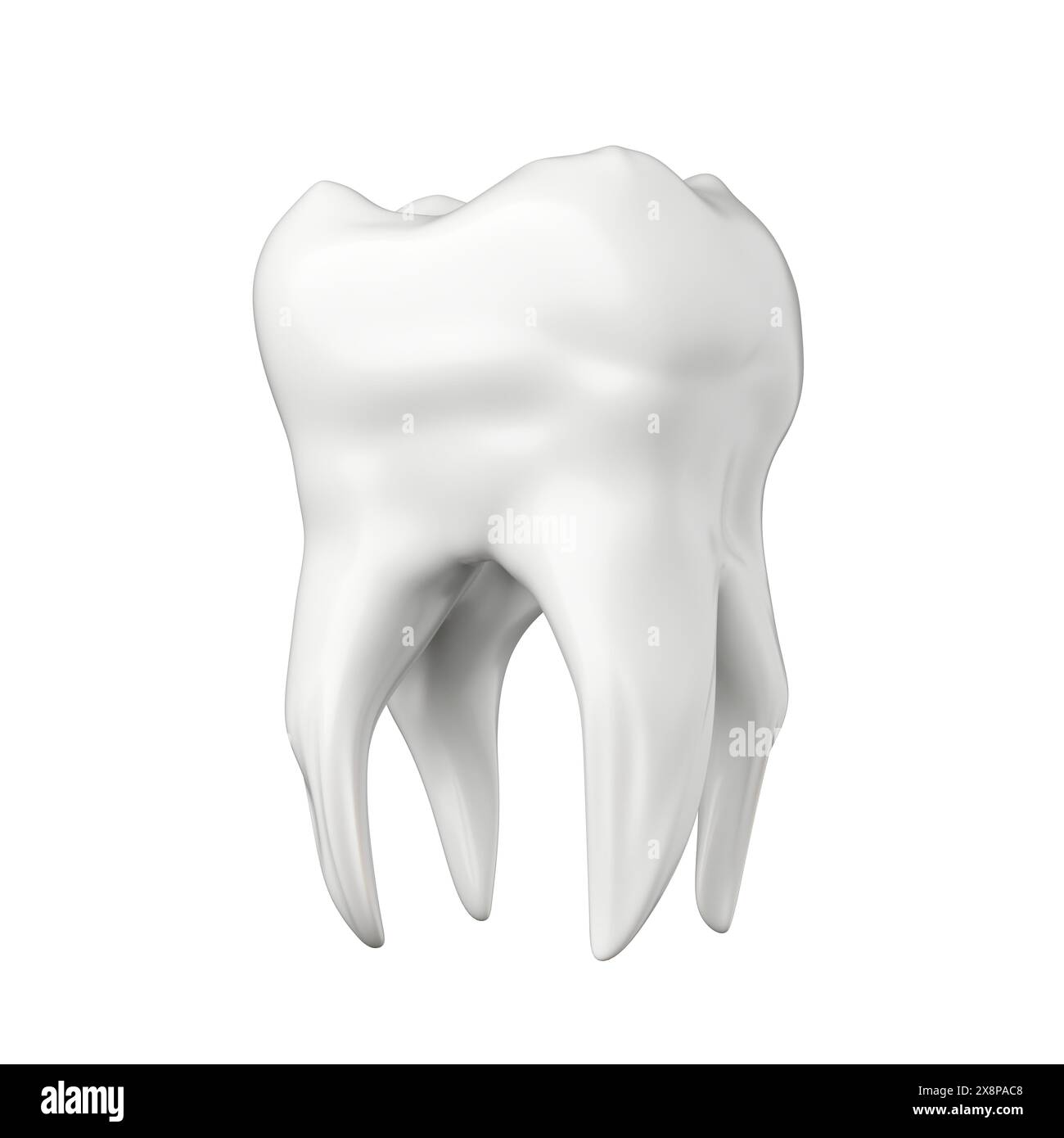 White molar tooth isolated on white background. Oral hygiene and dental ...