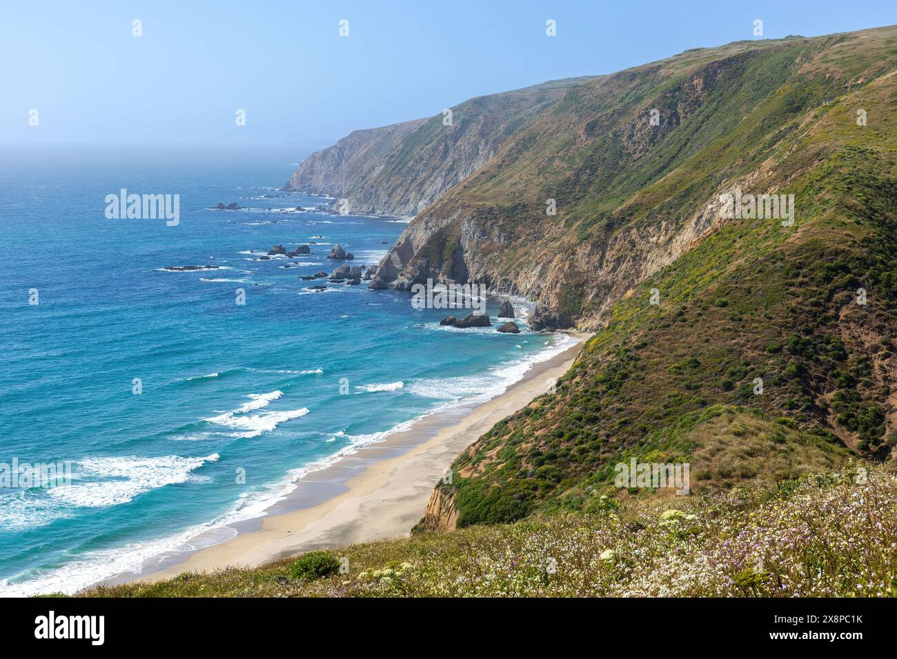 Pacific Ocean Coastline via Tomales Point Trail. Point Reyes National ...