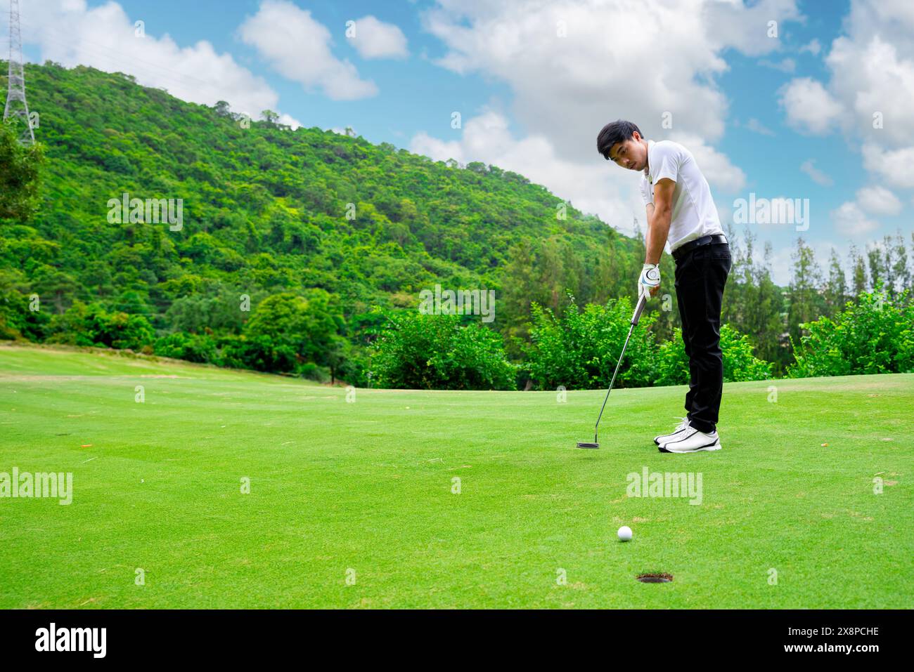 Golfer is using a putter to put a golf ball on the green. sport golf ...