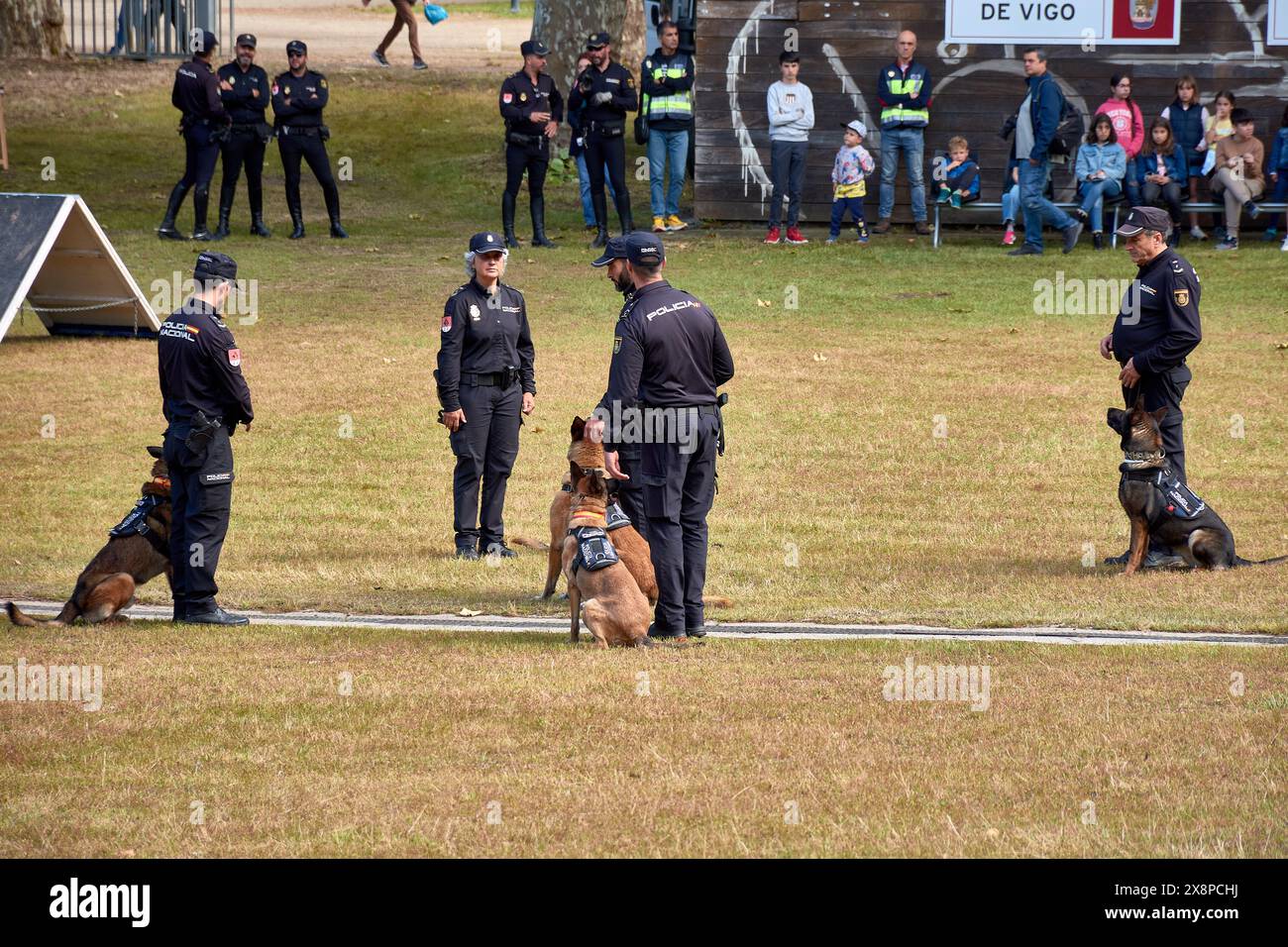 Vigo, Pontevedra, Spain; May,26,2024; Parade of dogs belonging to the ...