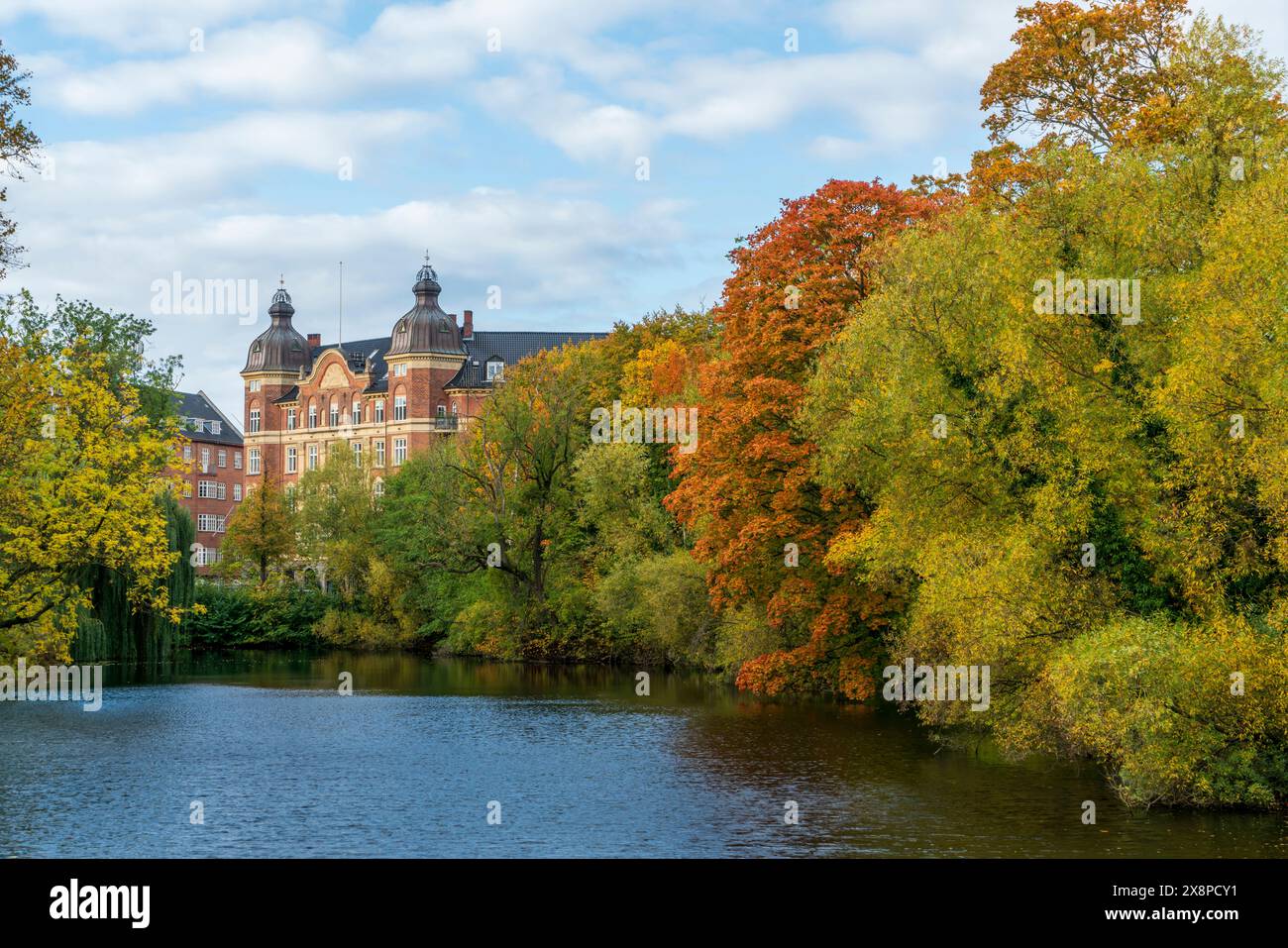 Immerse yourself in the autumnal elegance with this image of a lakeside ...