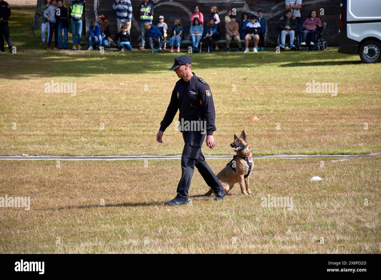 Vigo, Pontevedra, Spain; May,26,2024; Parade of dogs belonging to the ...