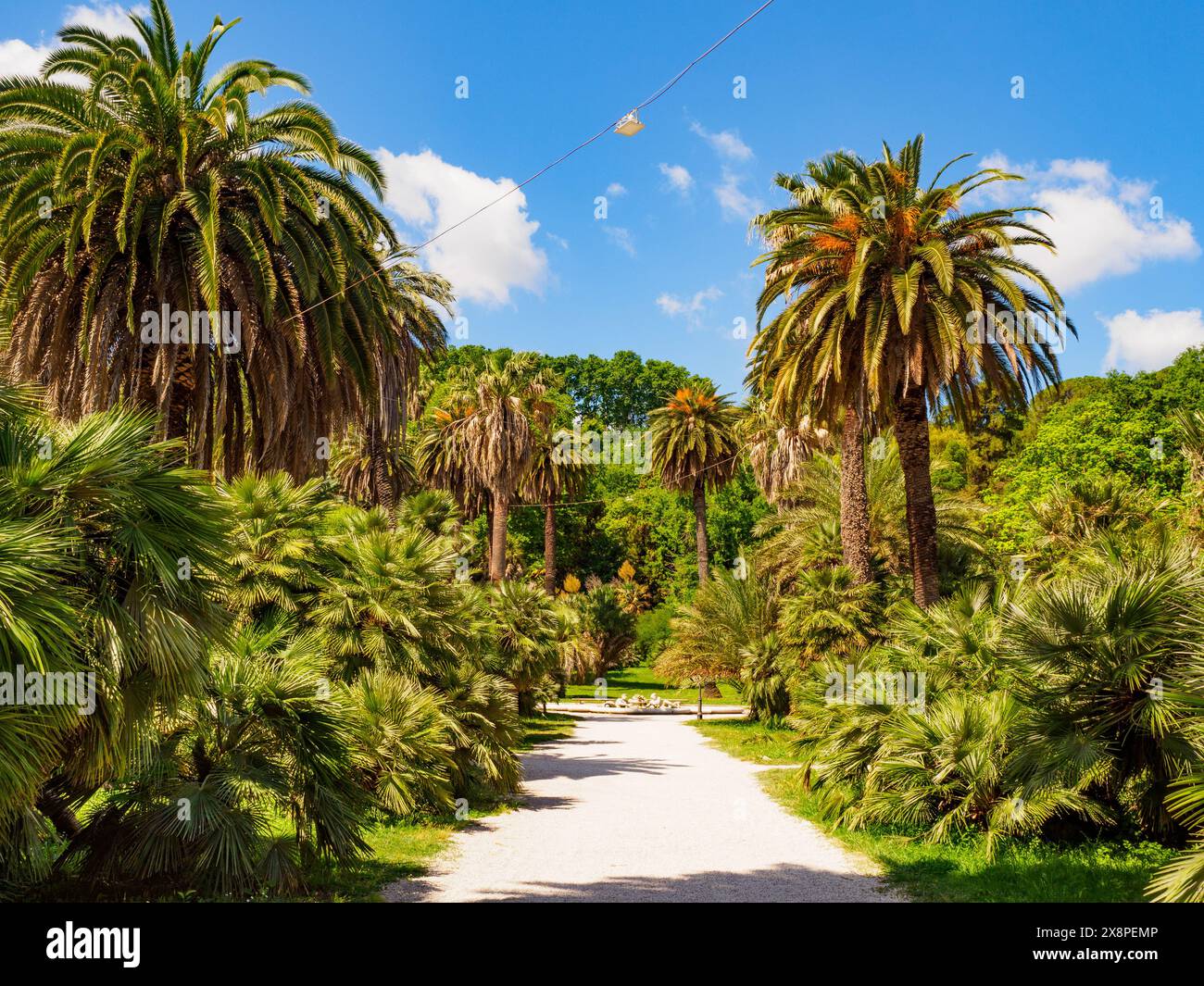 Botanical Garden of Rome, located on the slopes of the Janiculum, in ...