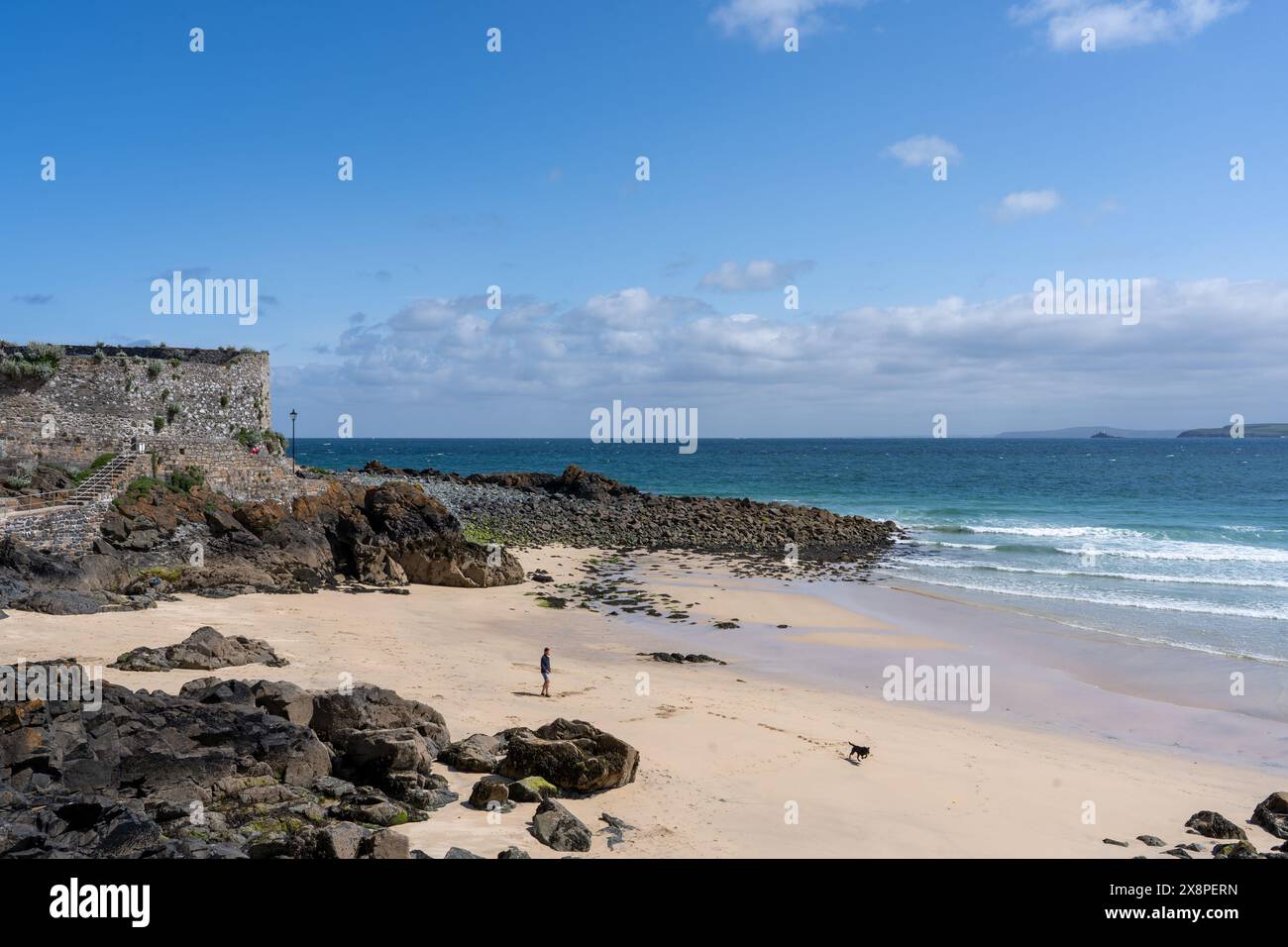 Dog walkers beach, St Ives, Cornwall Stock Photo - Alamy