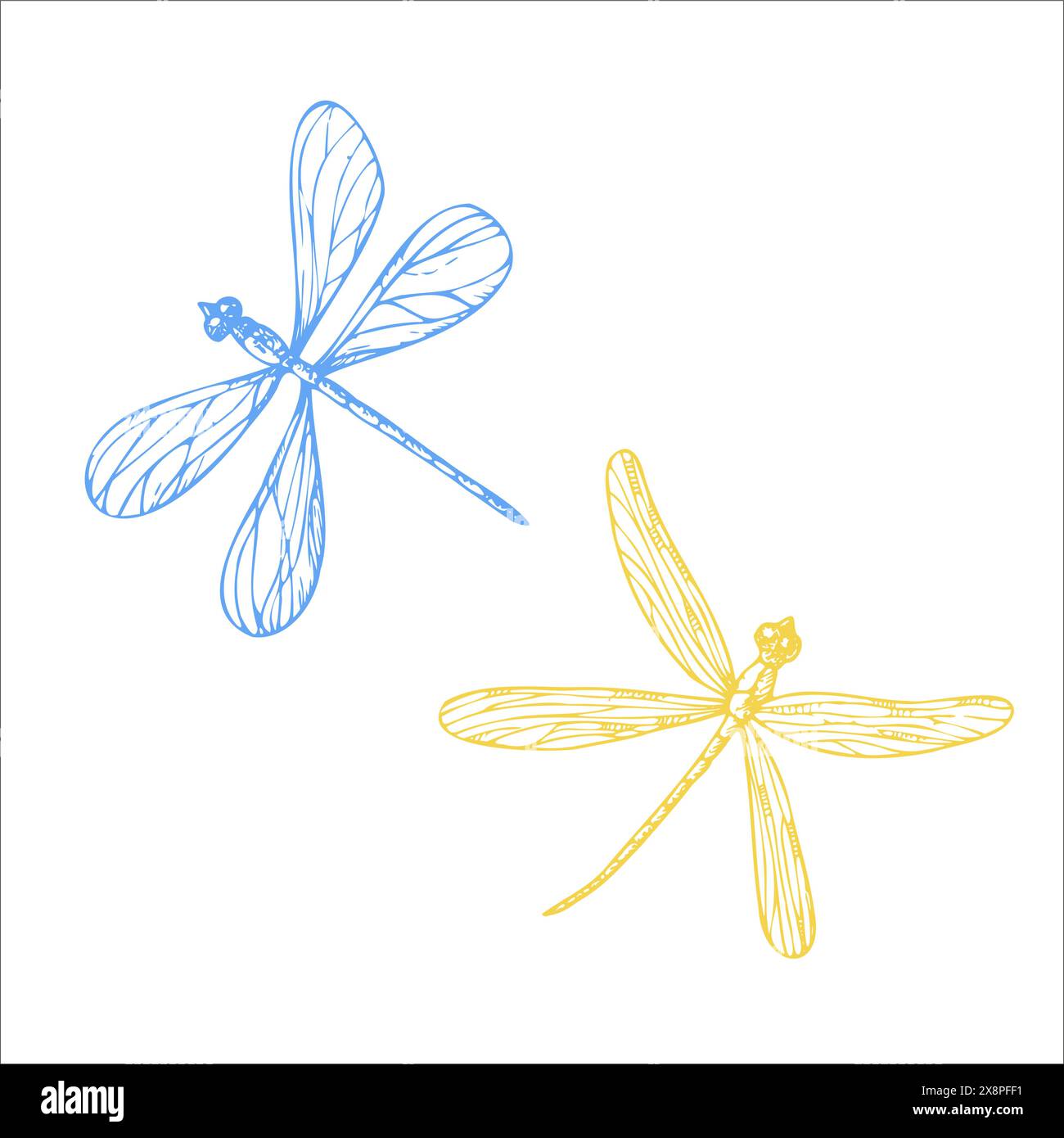 Vector cute dragonflies. Hand painted linear insects. Graphic clipart ...