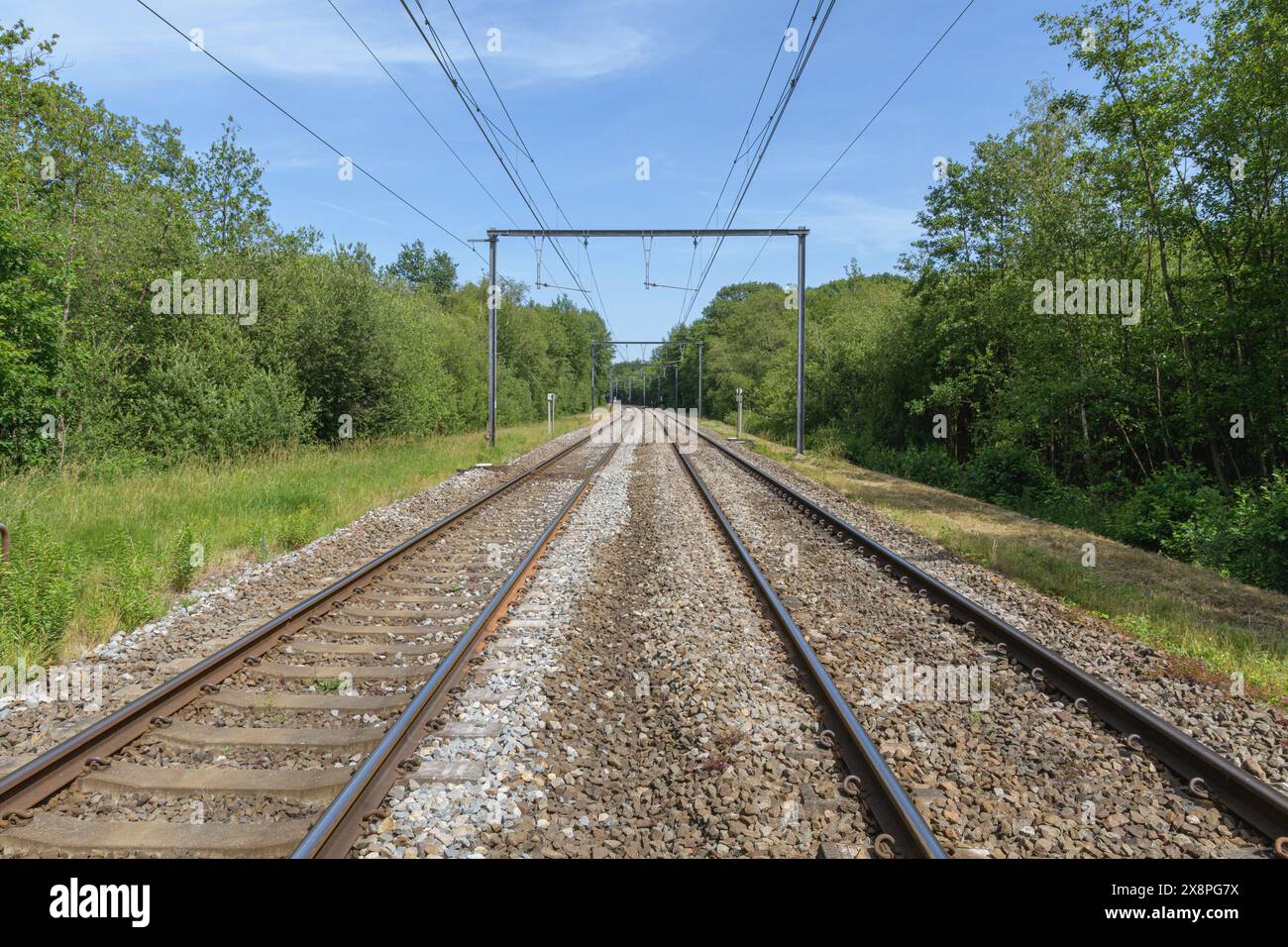 summer day landscape tracks wired railway perspective green trees blue ...