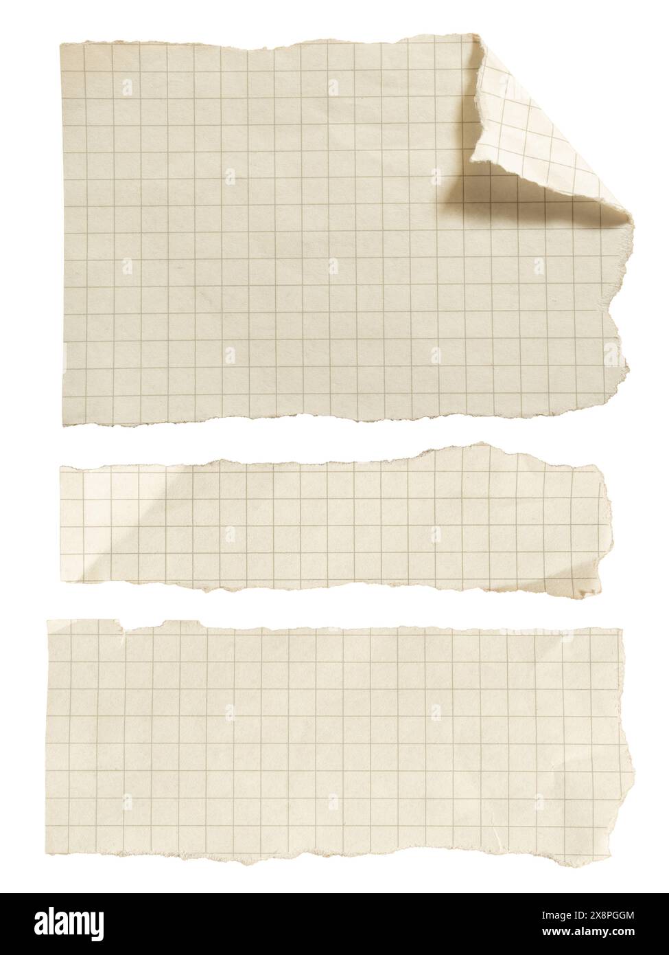 Set of torn grid papers on white background with clipping path Stock ...