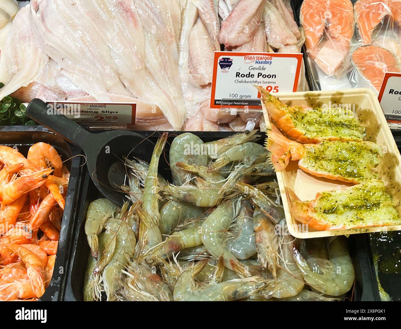 IJmuiden, Netherlands. Mai 25, 2024. Fresh seafood at the fish market ...