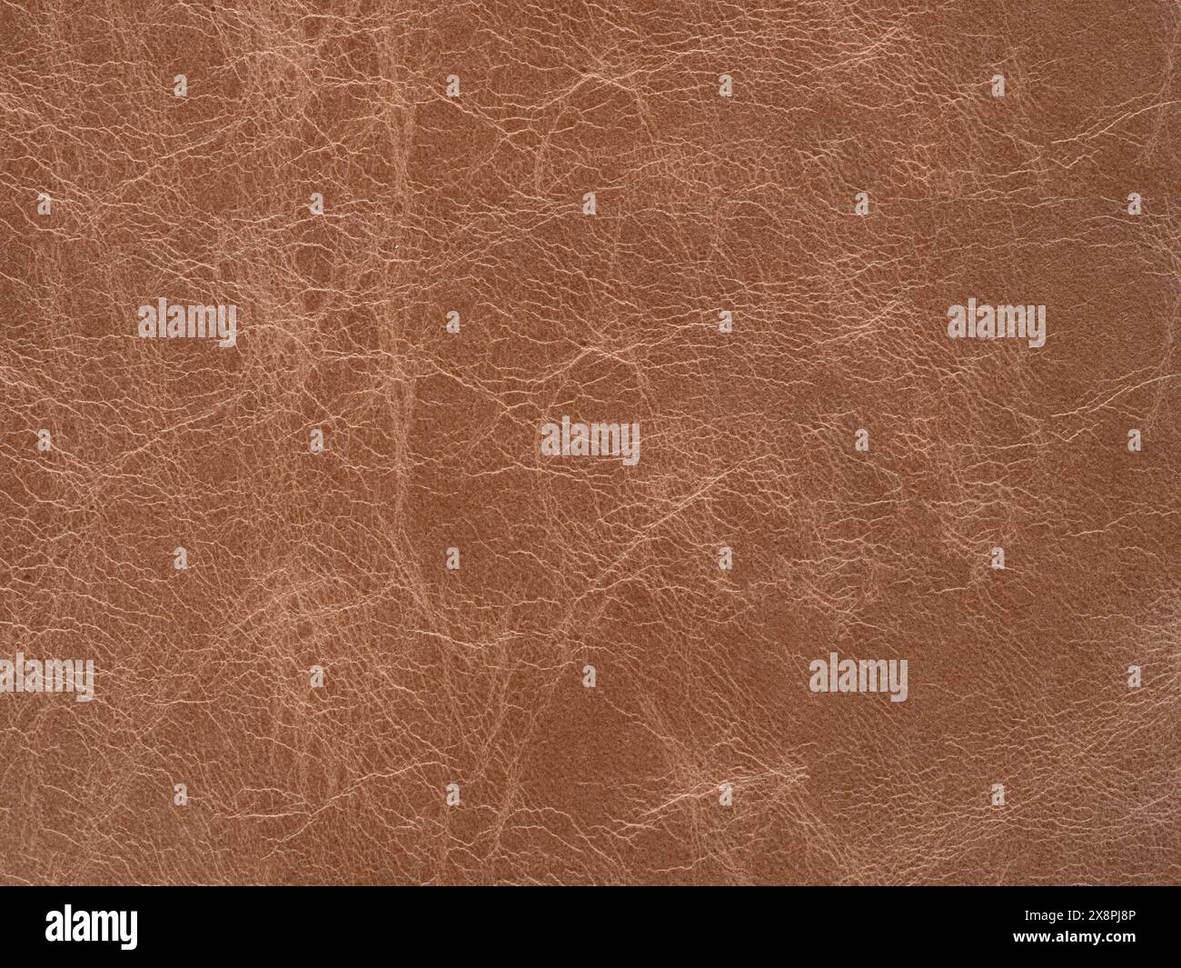 Soft dark beige leather natural texture, matte material, abstract ...