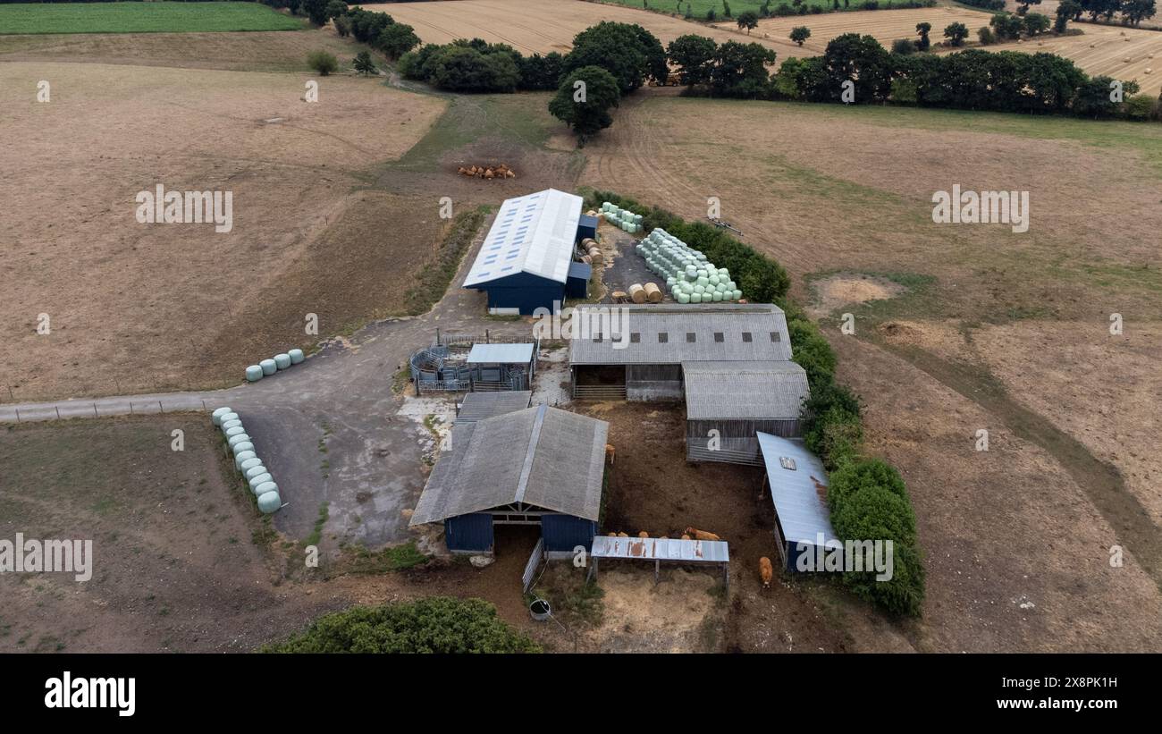 Gestion du bois hi-res stock photography and images - Alamy