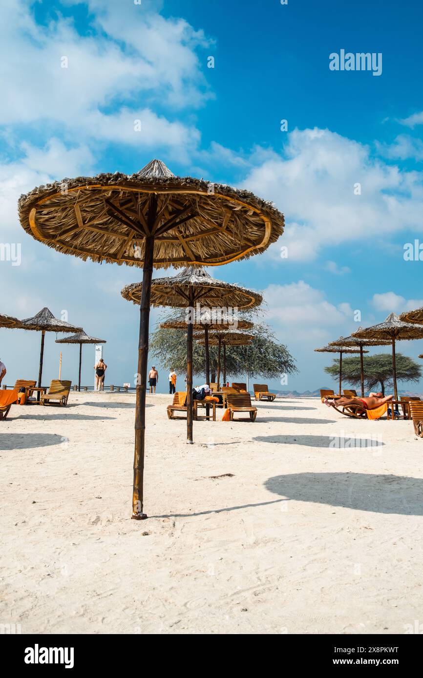 Sir Bani Yas, UAE - 5 January 2024: Visitors relish the serene ...