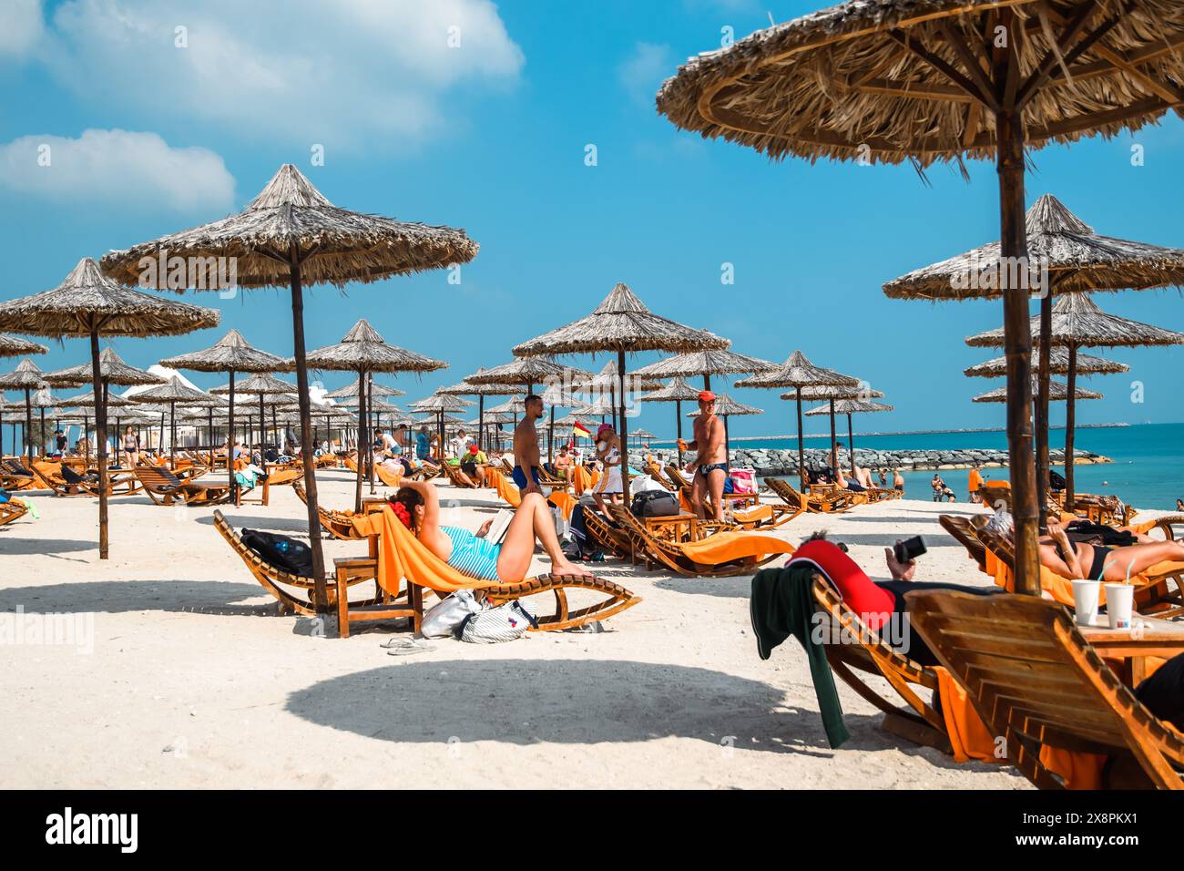 Sir Bani Yas, UAE - 5 January 2024: A serene beachscape with visitors ...