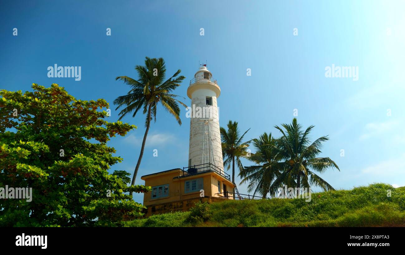 A lighthouse in the middle of a tropical jungle. Action. Green ...