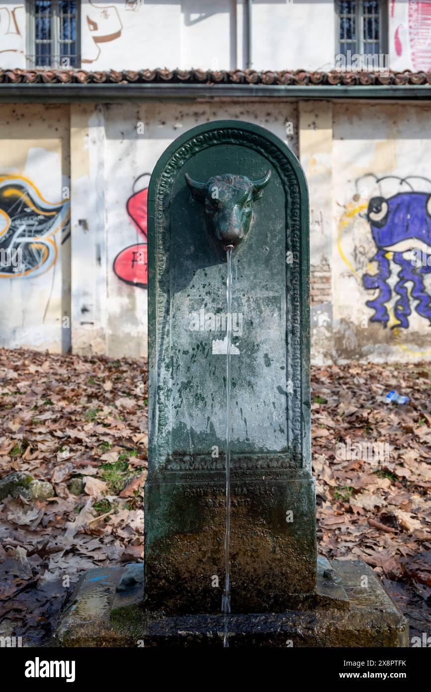 Close-up of Toret, little bull, small bull. Typical fountain of Turin ...