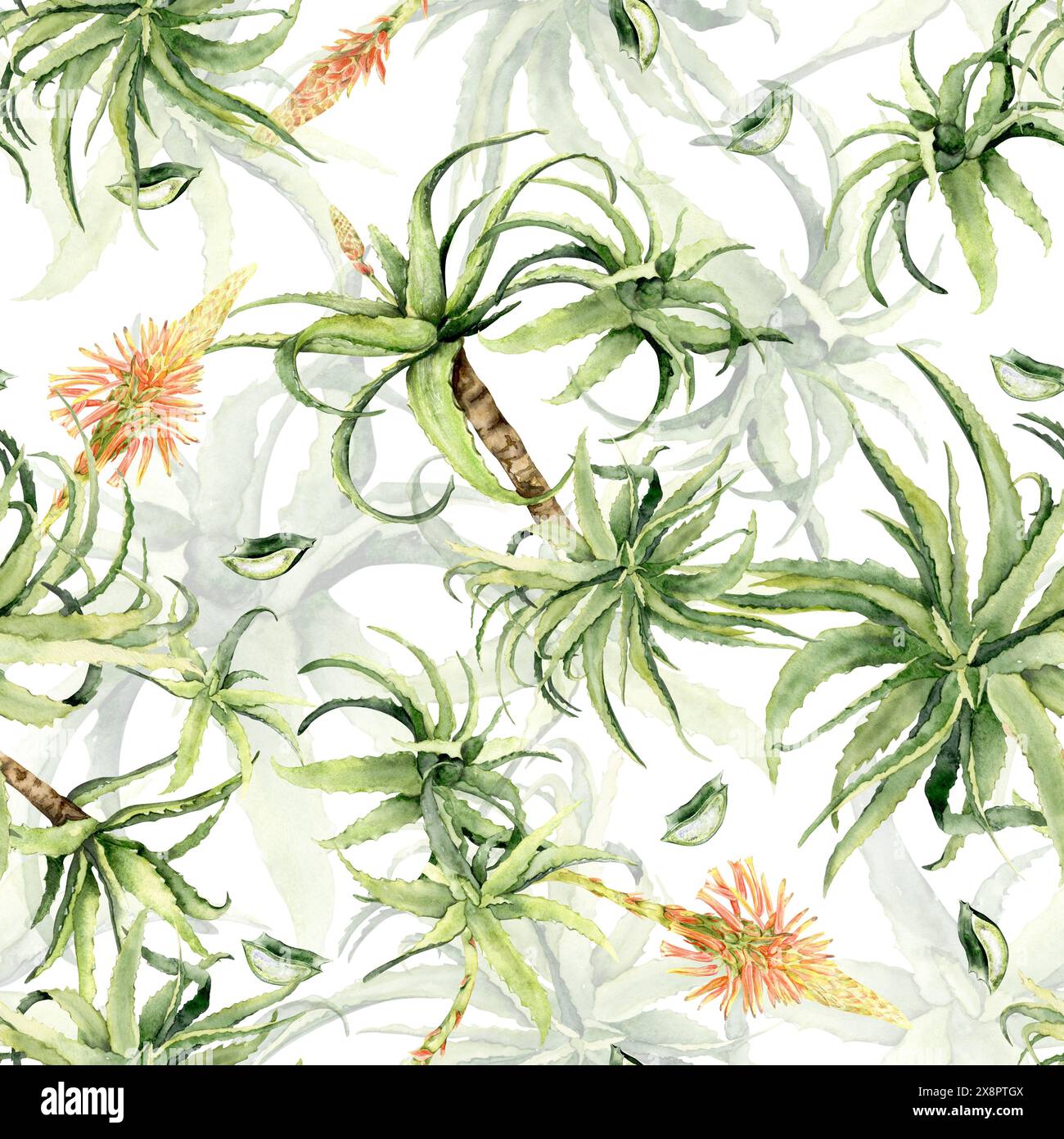 aloe vera seamless pattern Stock Photo - Alamy