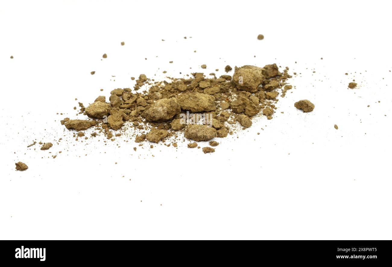 Pile of brown soil isolated on white background. a clod of earth ...